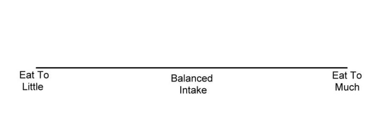 Nutritional Guidance - Chicago Personal Training - Understand the basics